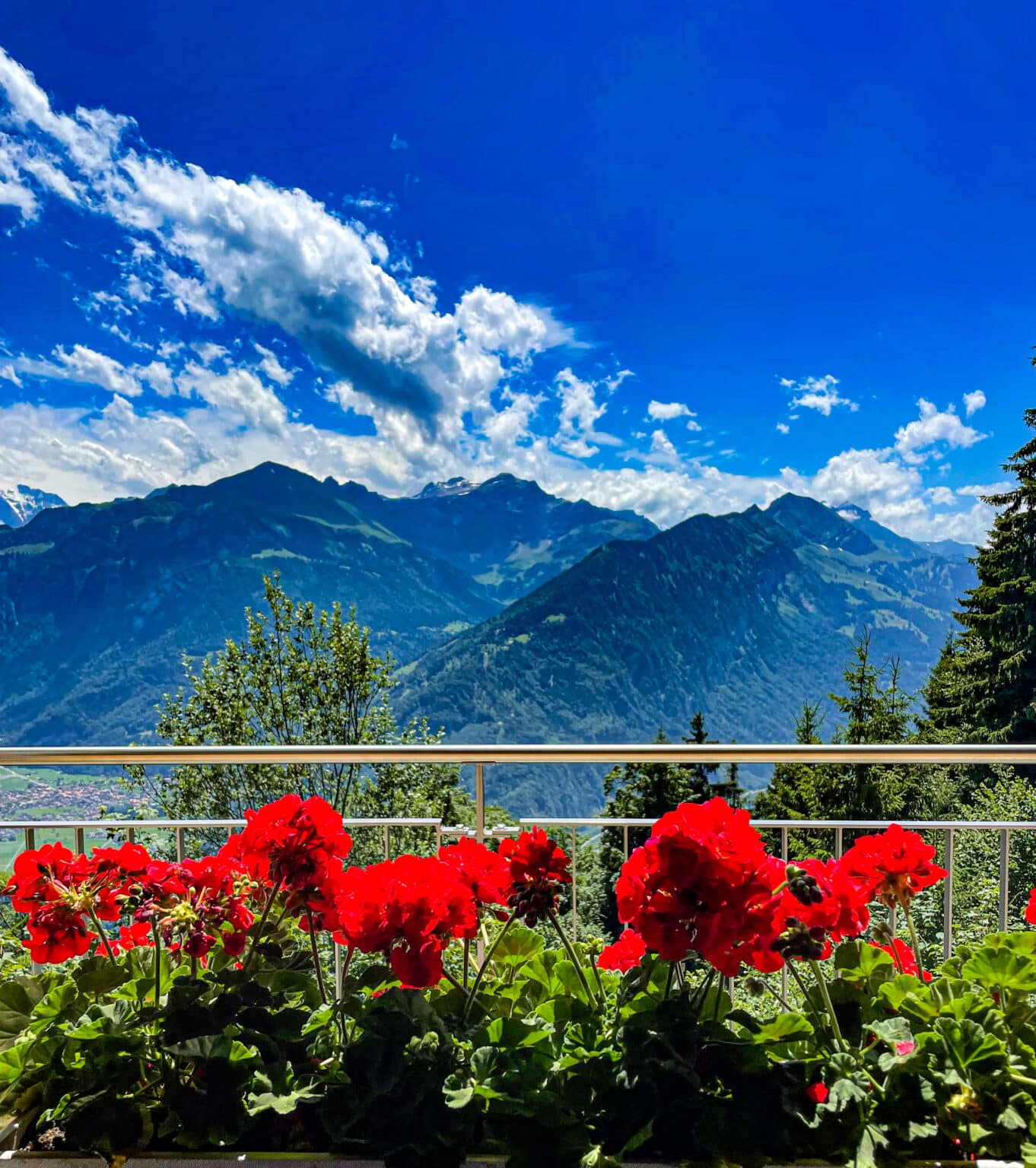 1 Day in Interlaken Itinerary: Top Things to See, Do & Eat