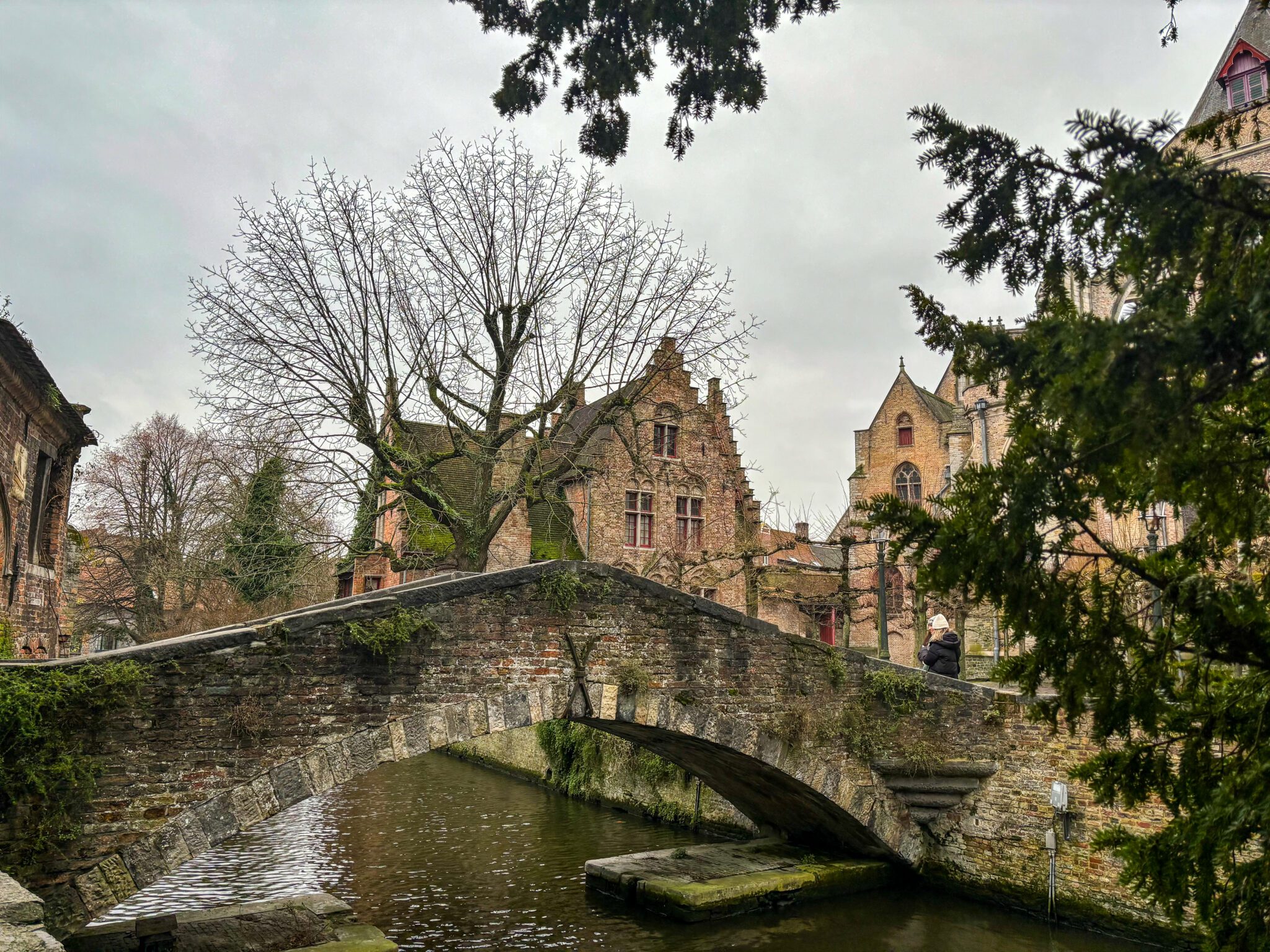 15 Best Restaurants in Bruges: Belgian Classics, Waffles & More