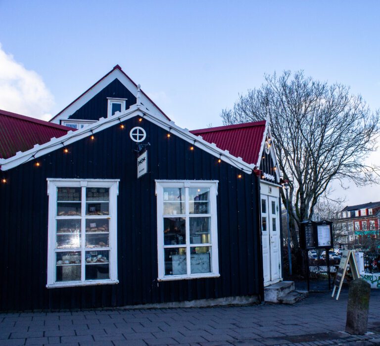 15 Best Restaurants in Reykjavik – Where to Eat